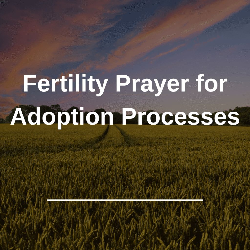 Fertility Prayer for Adoption Processes - Fire 4 Fire Prayer